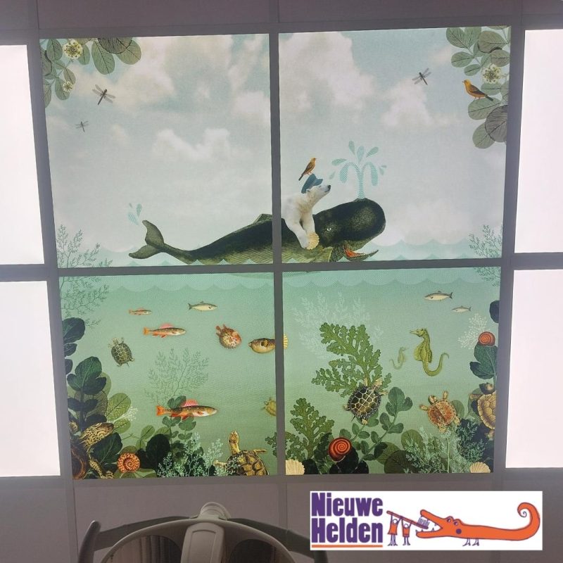 LED Beleuchtung Zahnarztpraxis